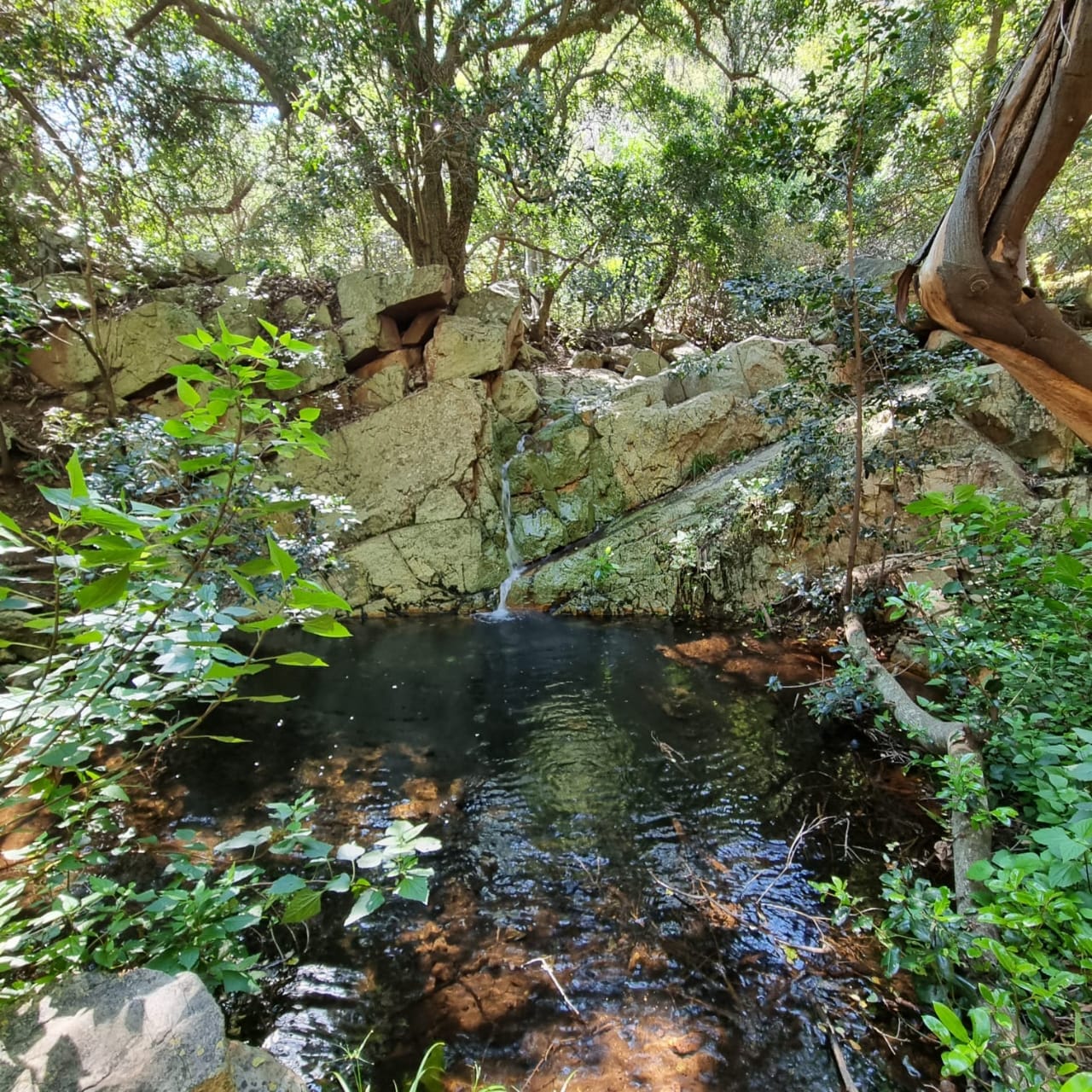Hiking Trails – Piesangkloof 4×4 Trails & Bush Camp
